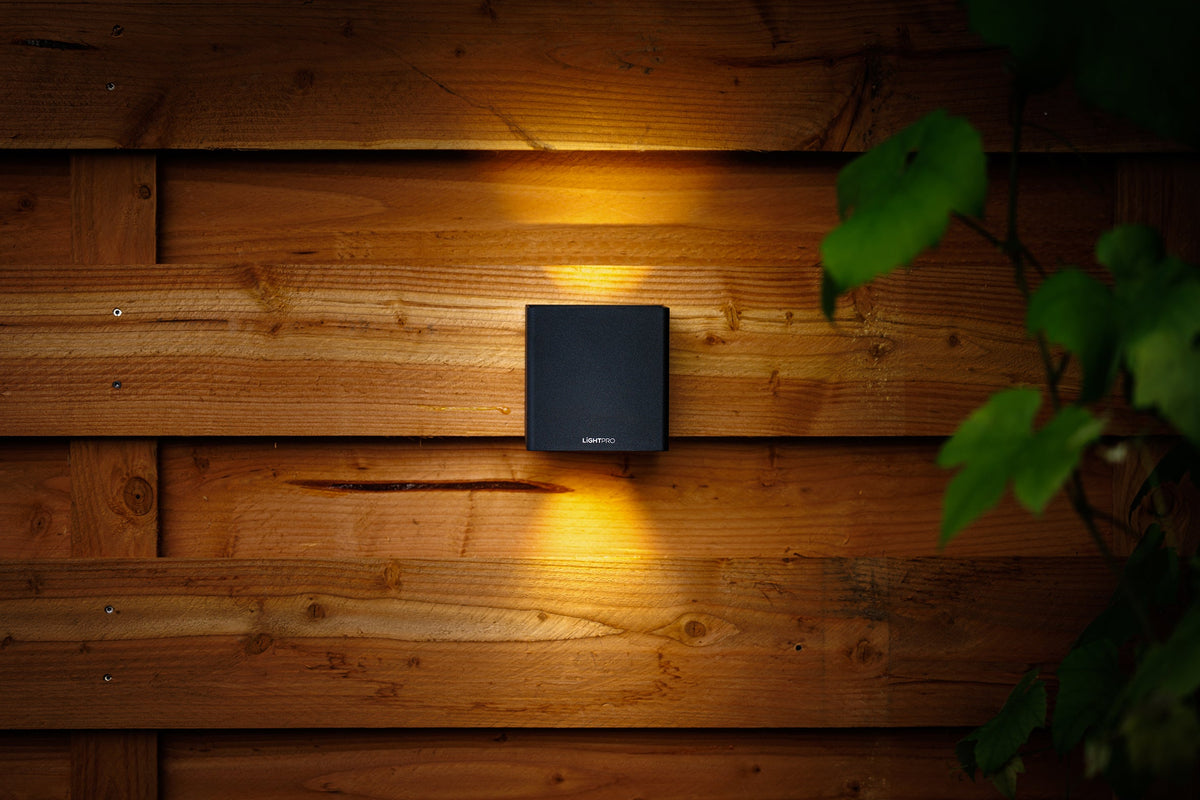 Wall Lights — The Plant Collector