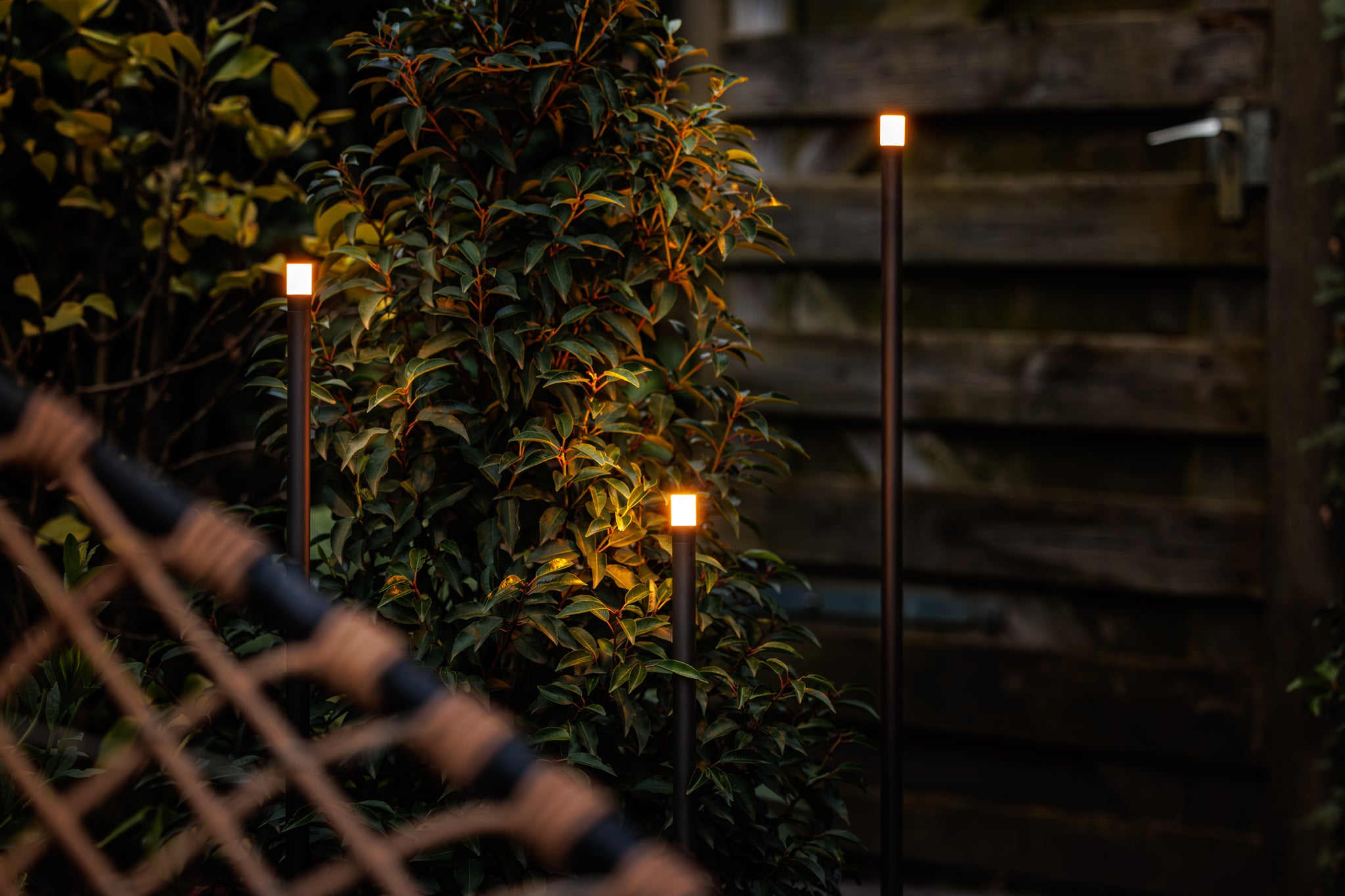 Erba — The Plant Collector