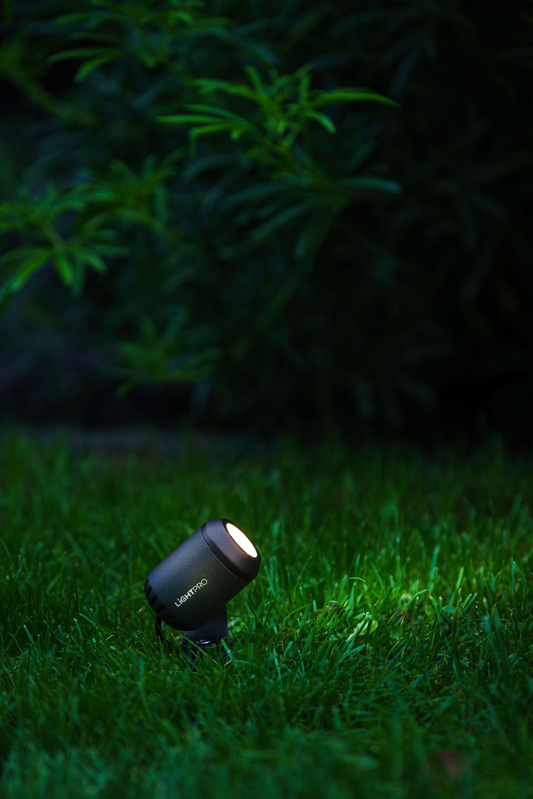 Juno 2 — The Plant Collector