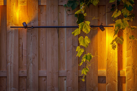 Tube — The Plant Collector