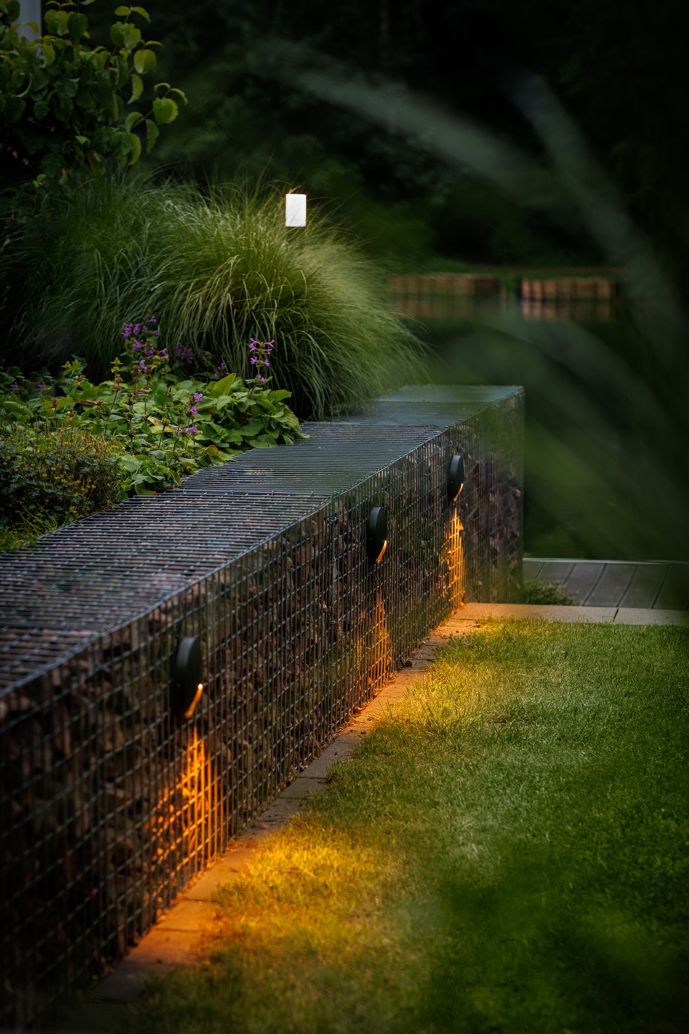 Oberon Smart 12V (Zigbee) — The Plant Collector