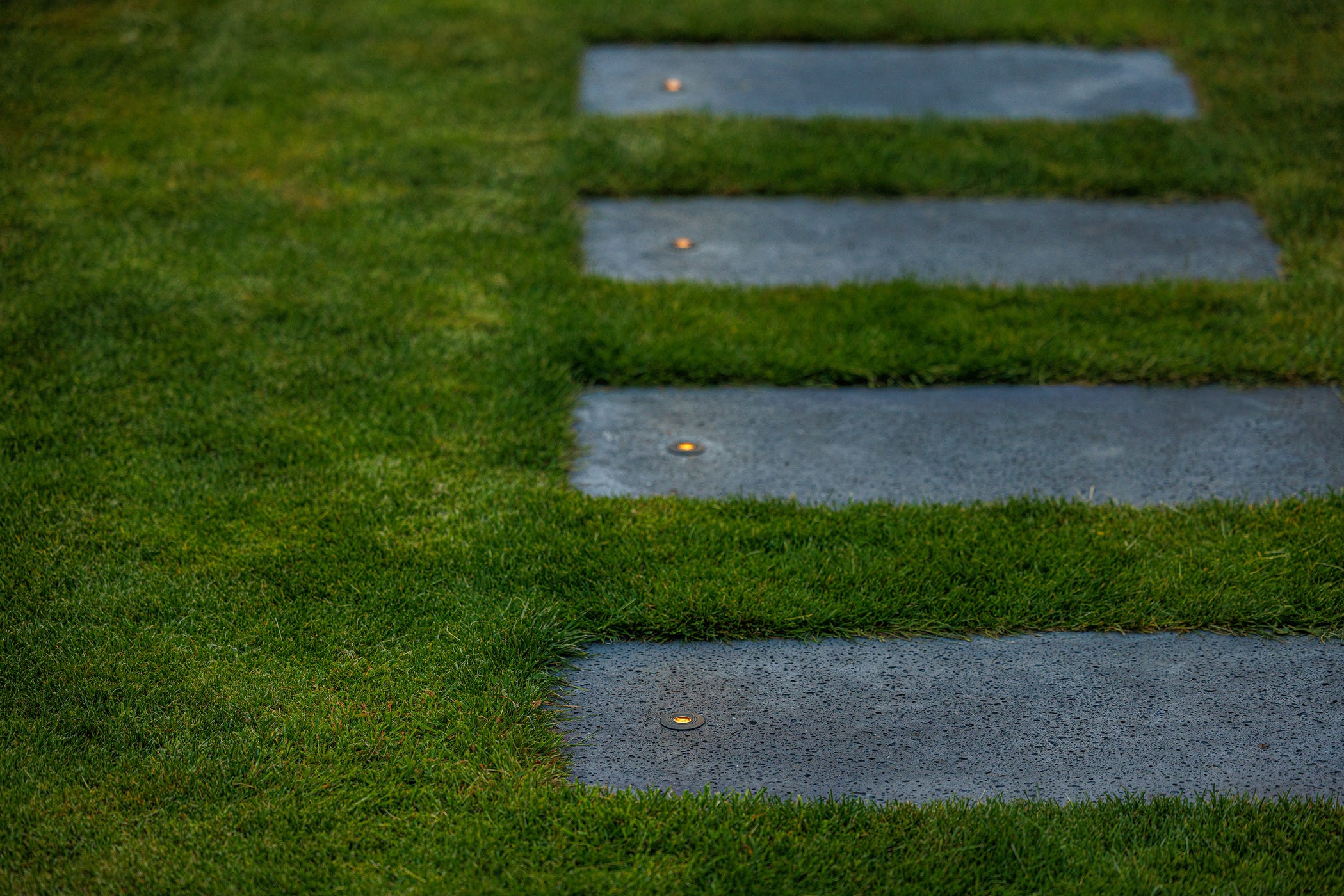 Onyx 30 — The Plant Collector