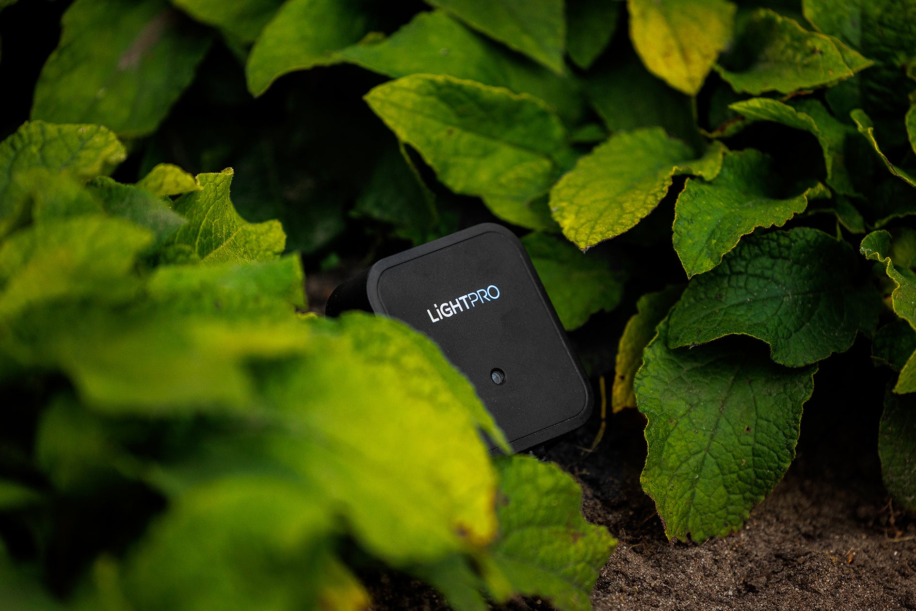 Switch Smart (Wi-Fi) — The Plant Collector
