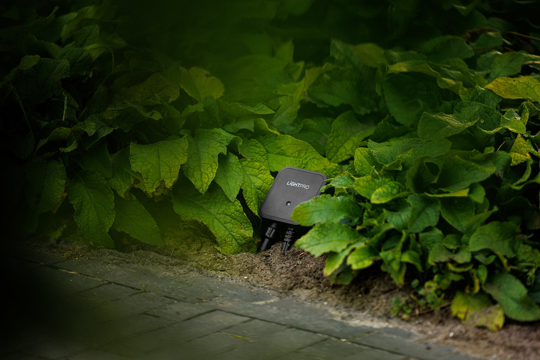 Switch Smart (Wi-Fi) — The Plant Collector