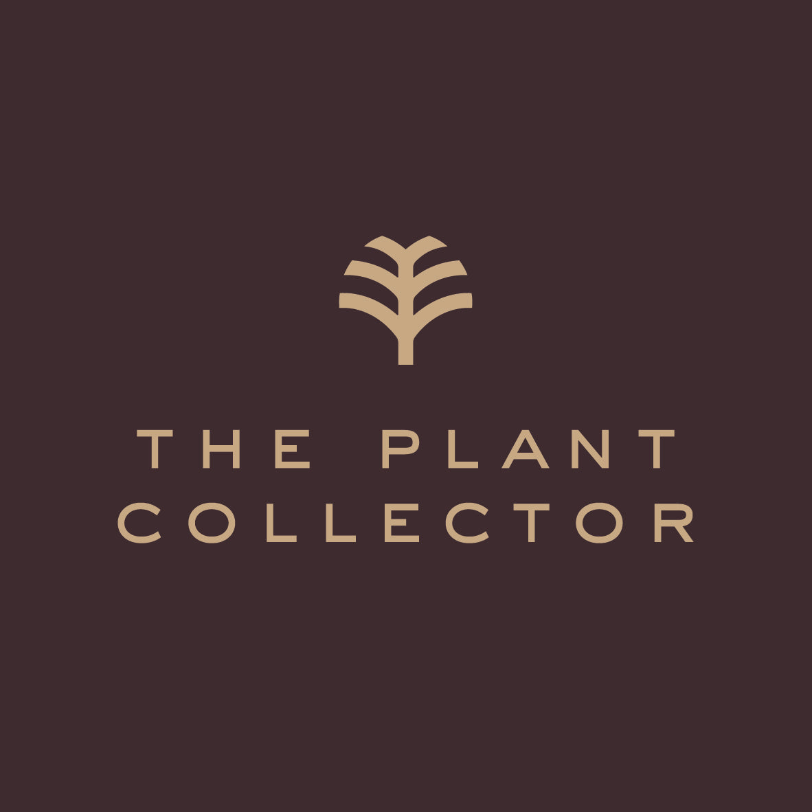 Oberon Lo — The Plant Collector