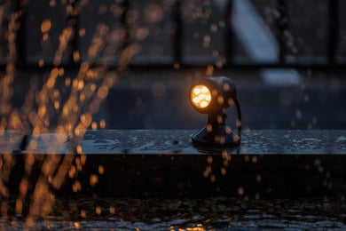 Nilus — The Plant Collector