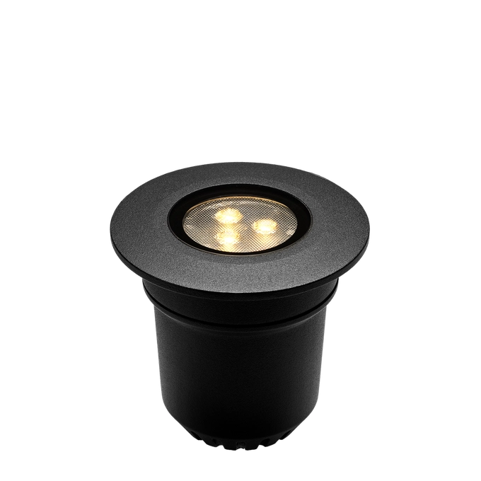 Nomia 12V — The Plant Collector