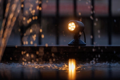 Nilus — The Plant Collector